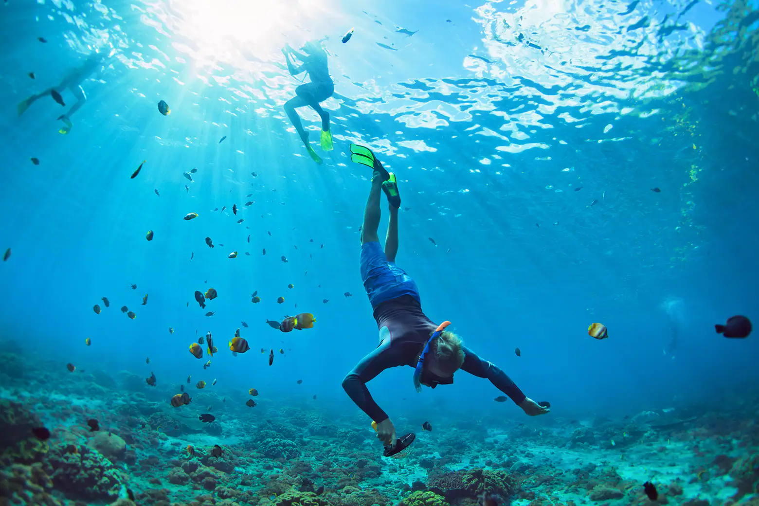 Apnea Zone: Aquatic Adventures Await with This First-Class Diving ...